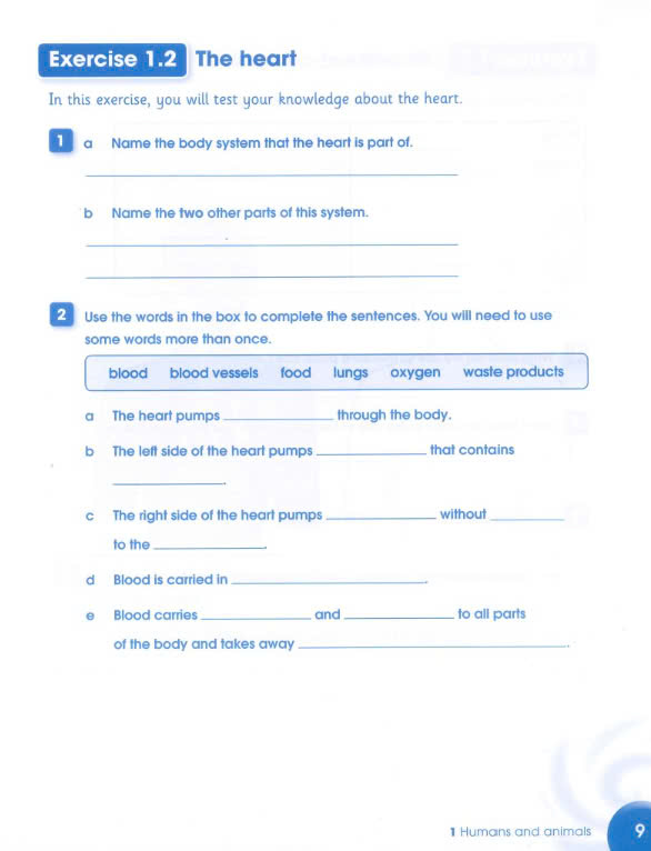 Sách Cambridge Primary Science 6 Activity Book (1st Edition) - Times Edu